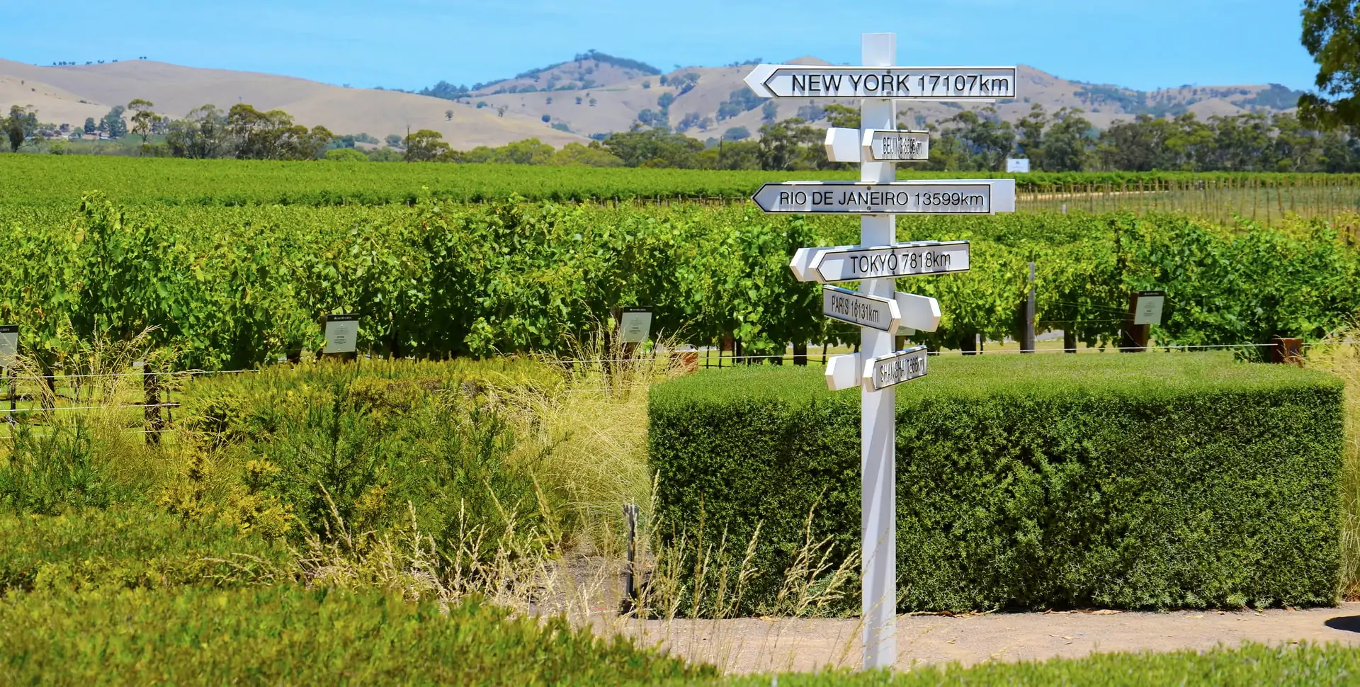 Barossa Valley - Screenaway.com.au